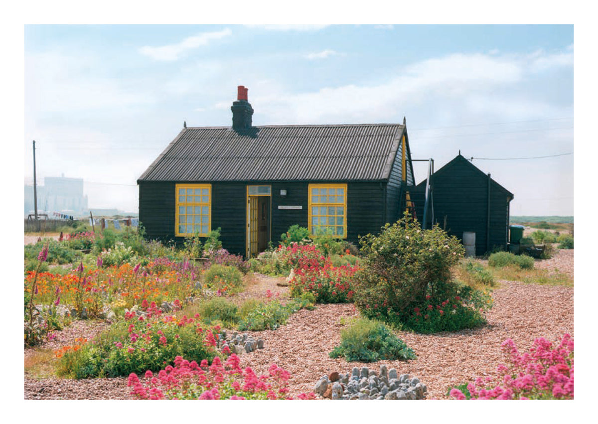 Derek Jarman's Cottage Garden Futures Postcard – V&A Dundee Shop